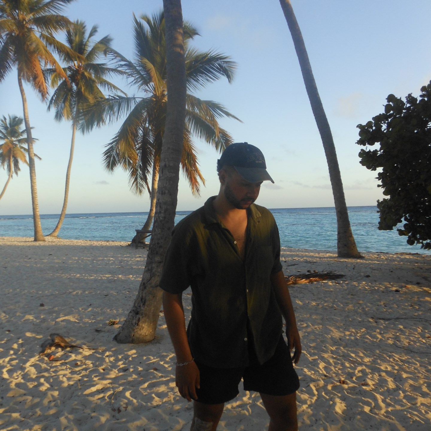 azua · Tour Dates & Tickets