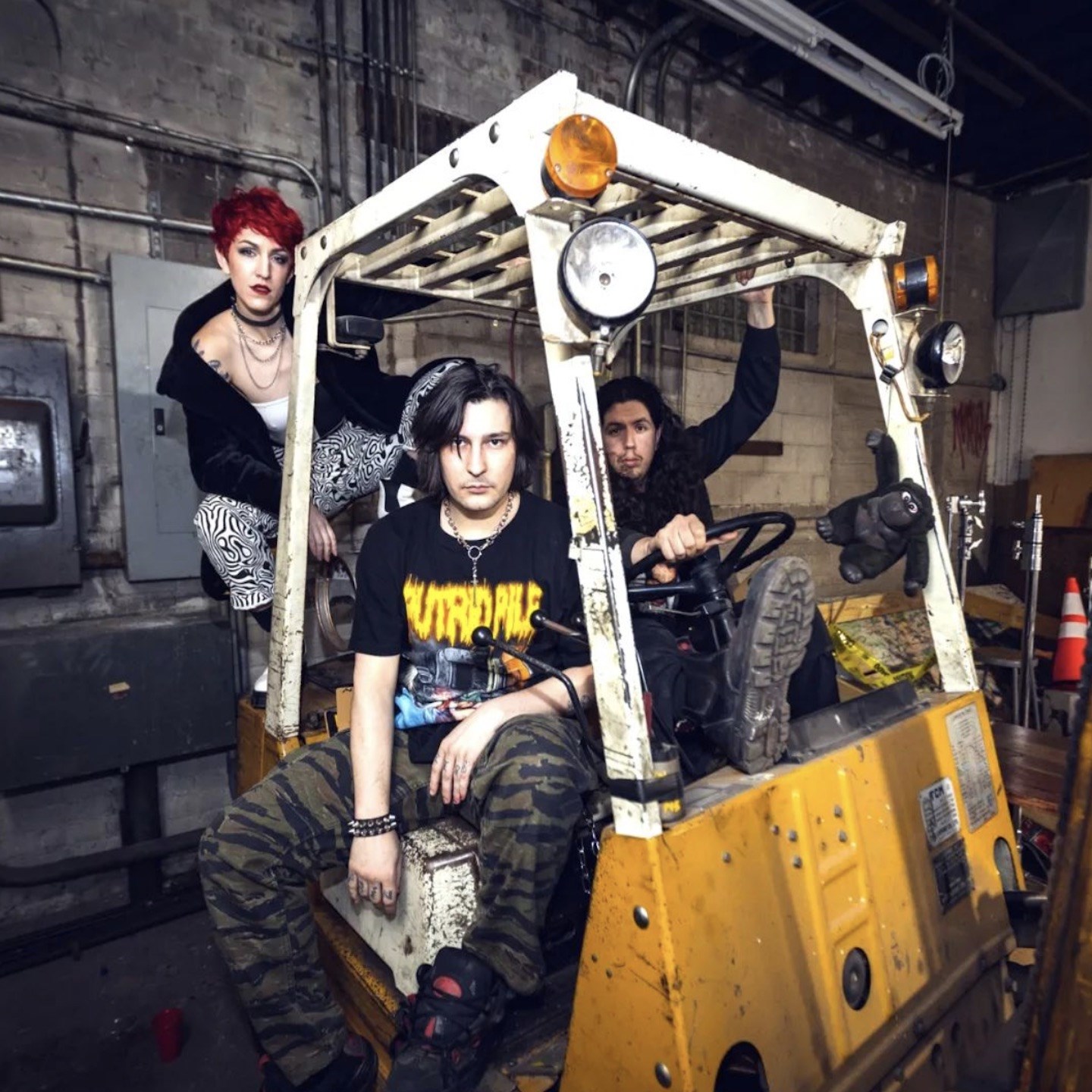 Bacterial Lawn · Artist Profile