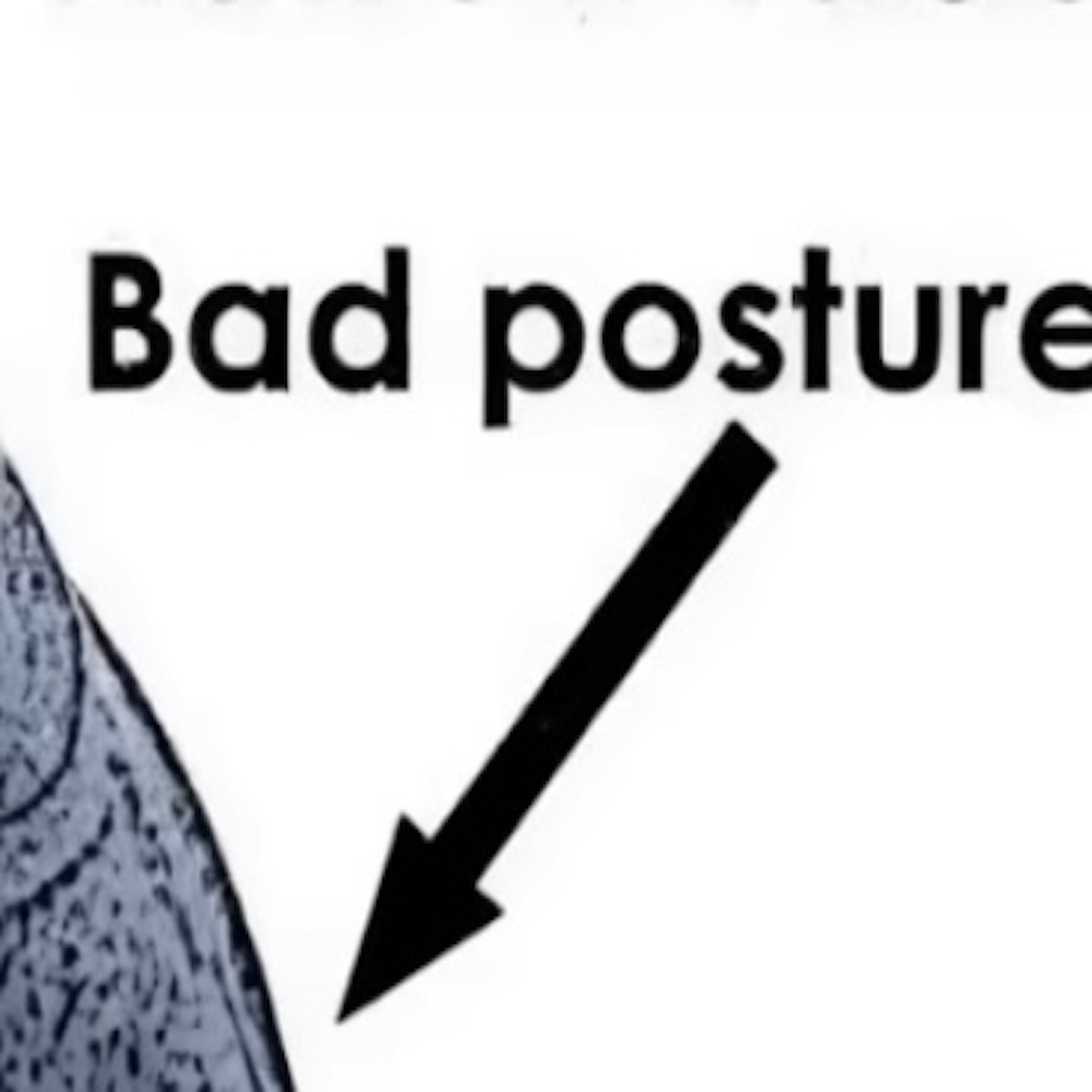 BAD POSTURE · Artist Profile