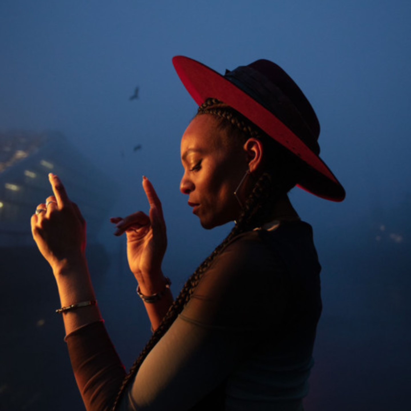 Bailey Brown · Artist Profile