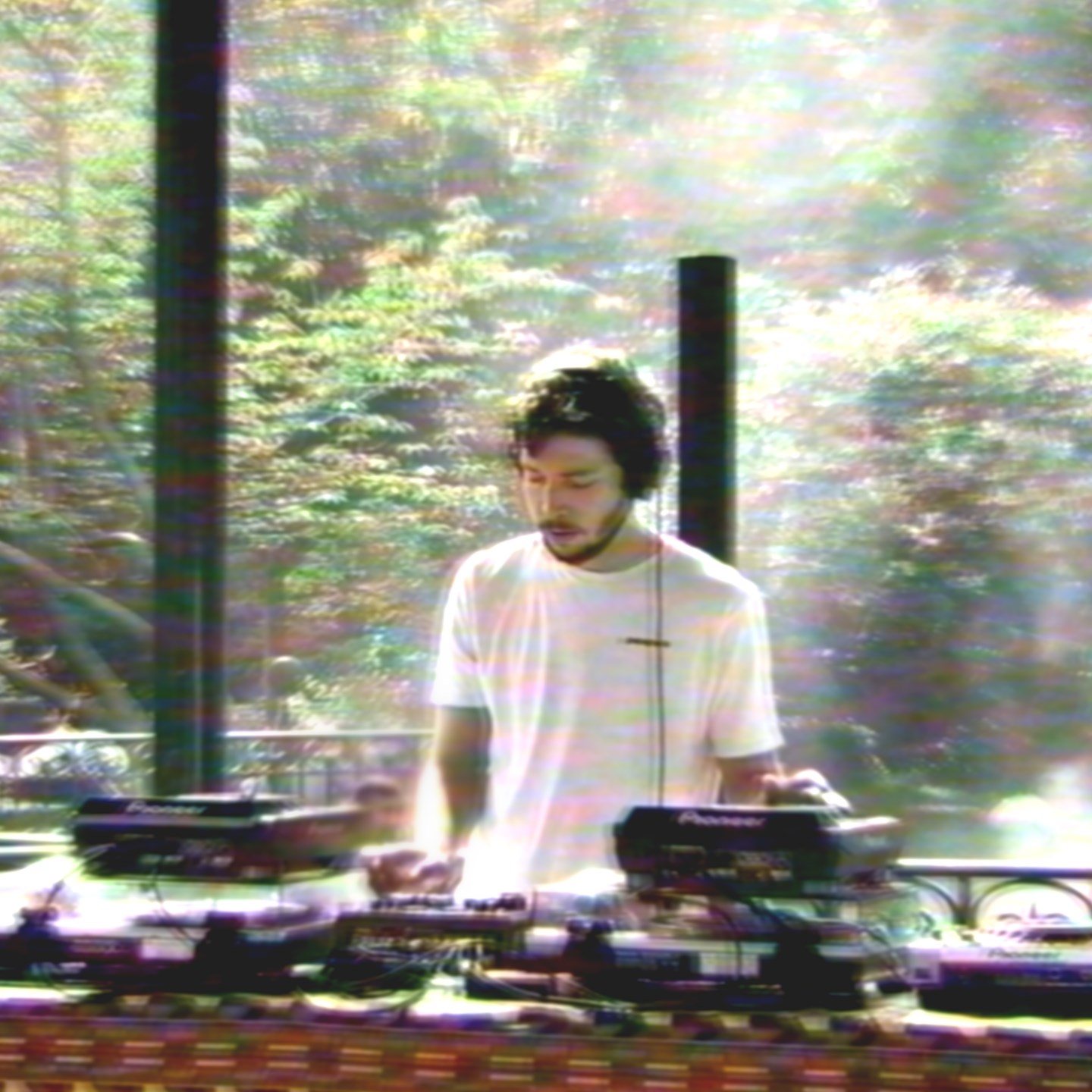 bascha · Artist Profile