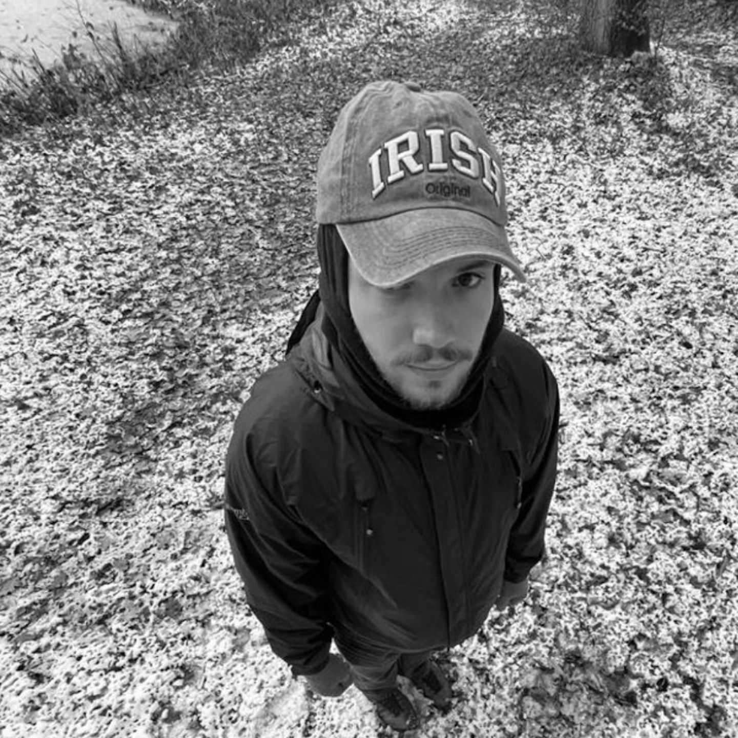 BeamControl · Artist Profile