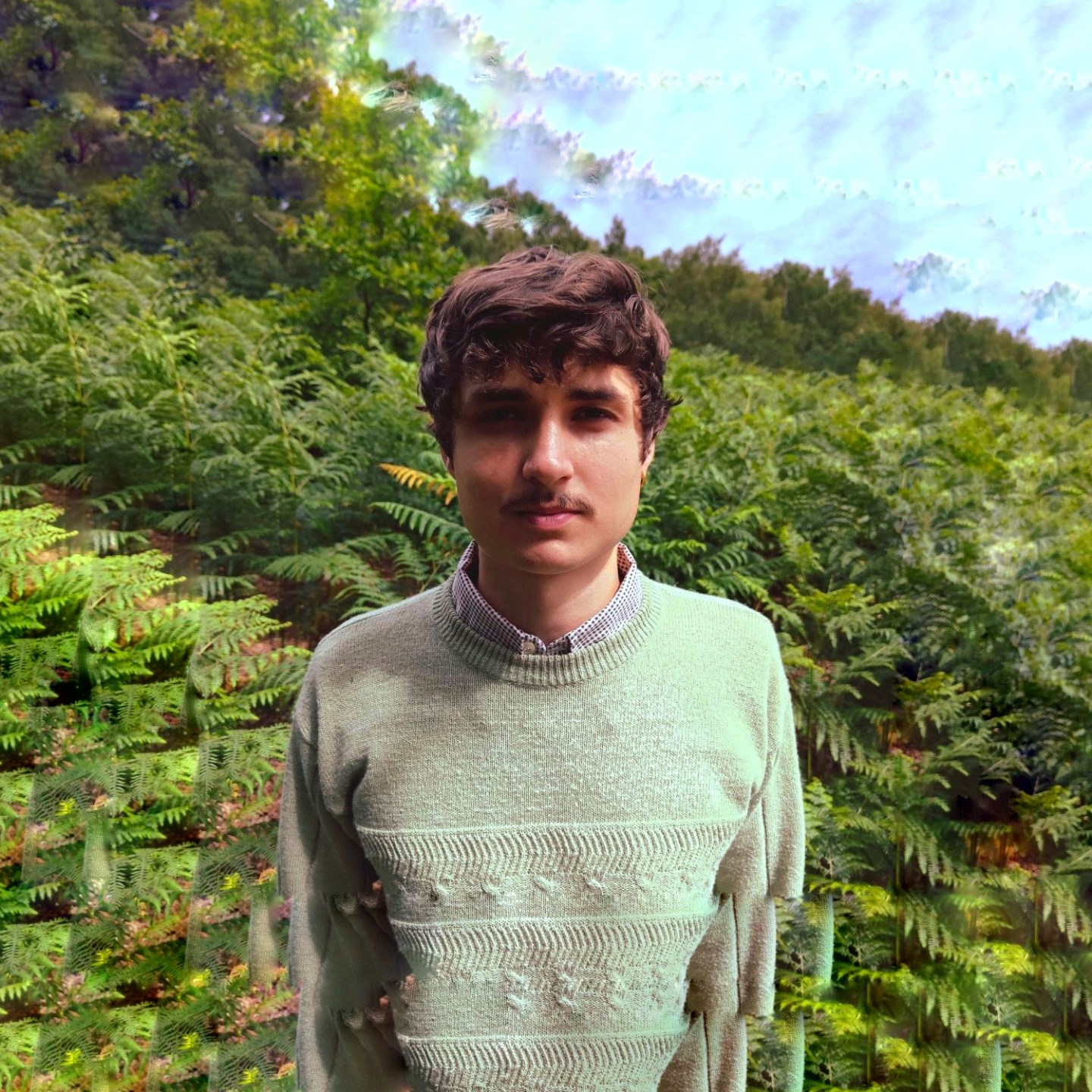 Bowyer · Artist Profile