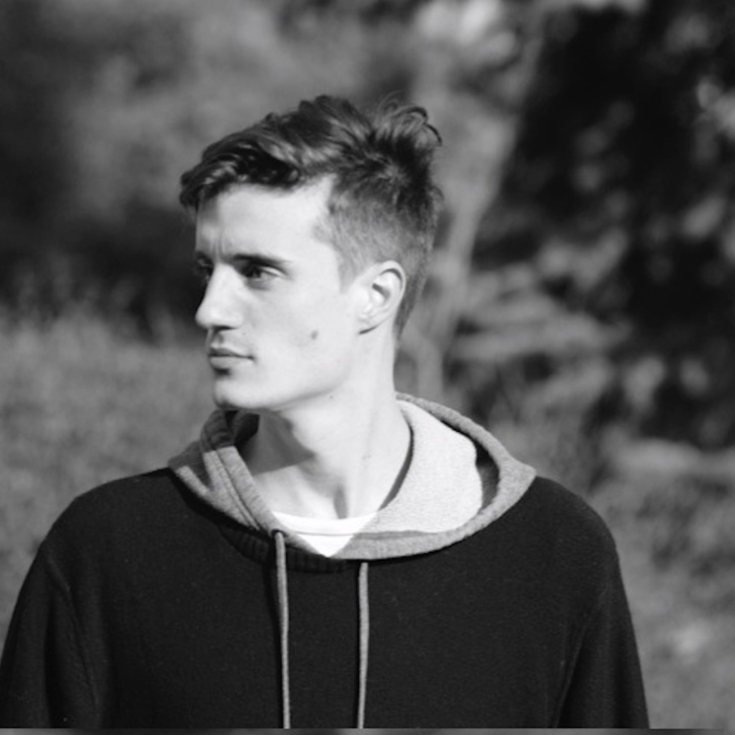 Brandon Lee Vear · Artist Profile