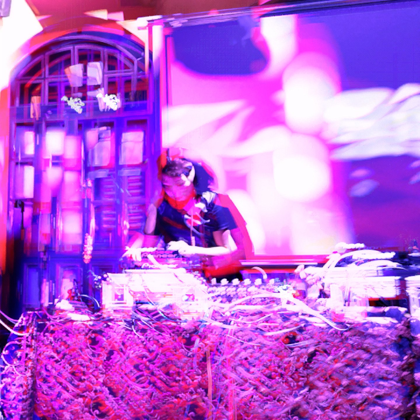 Cabbit · Artist Profile