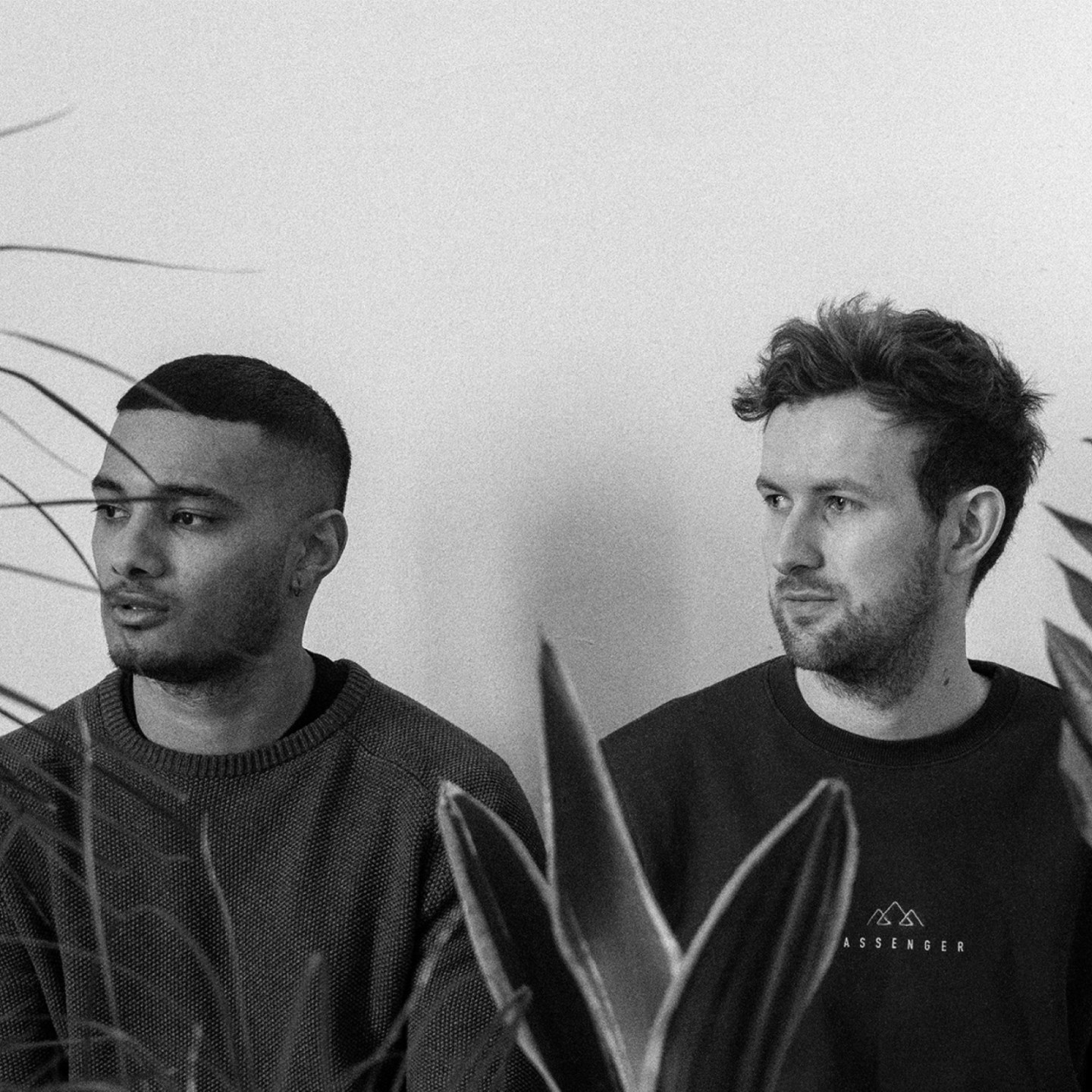 Cando · Artist Profile