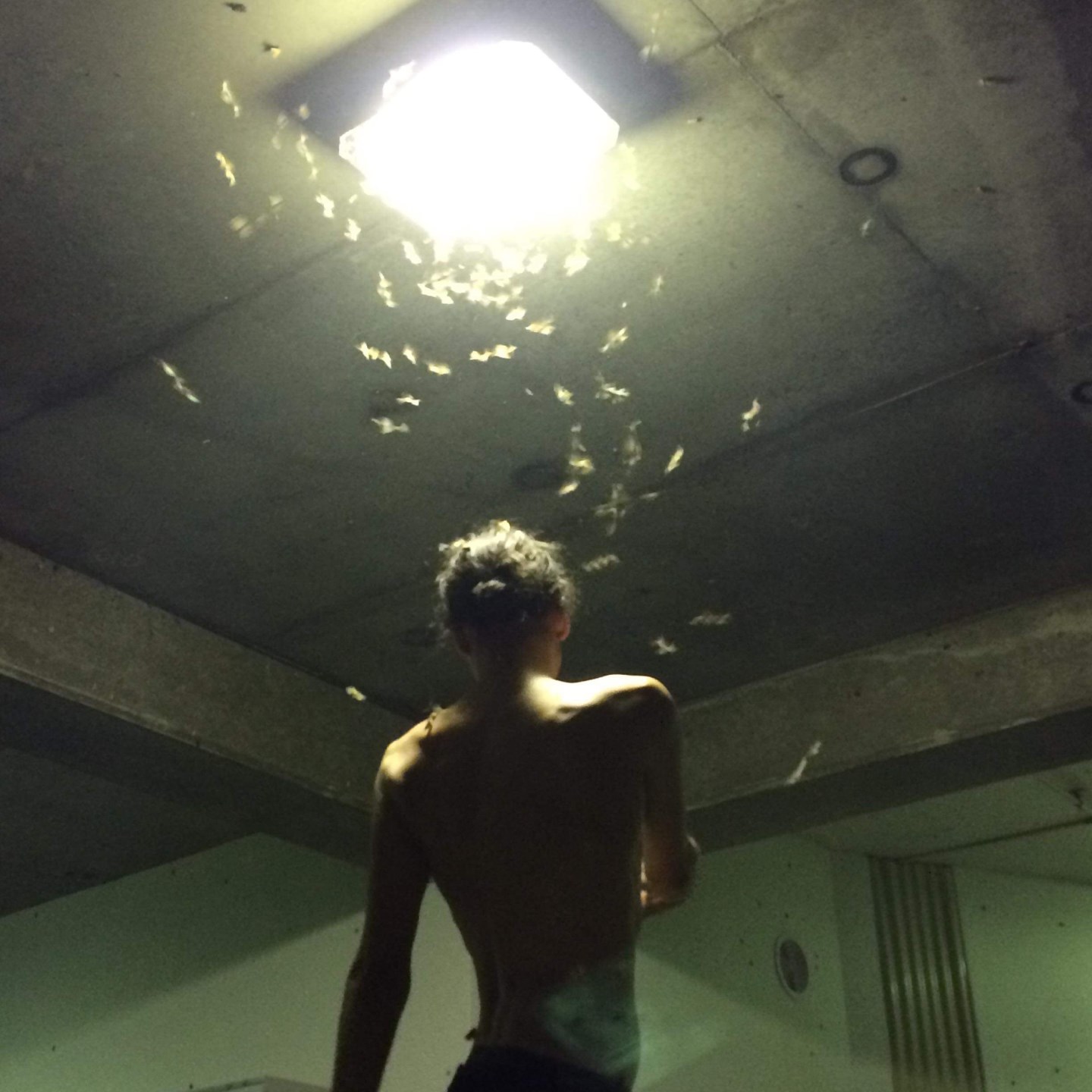 Cooper Cooper · Artist Profile