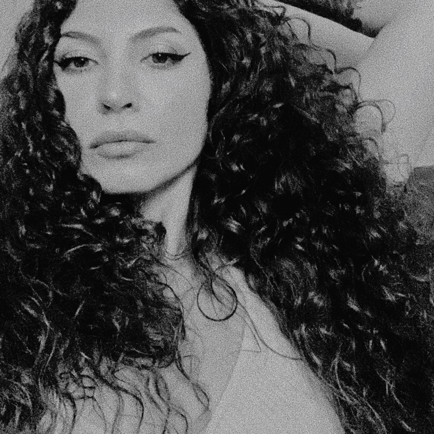 D!SHA · Artist Profile