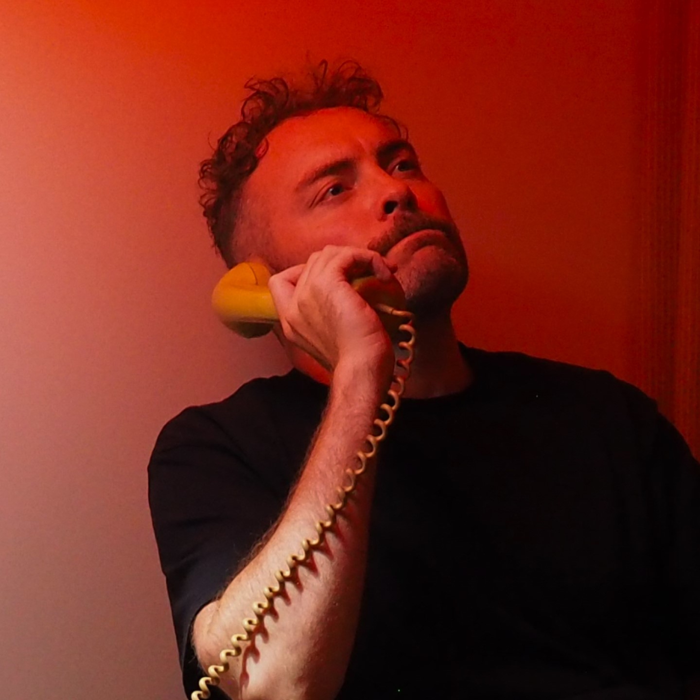 Daise · Artist Profile