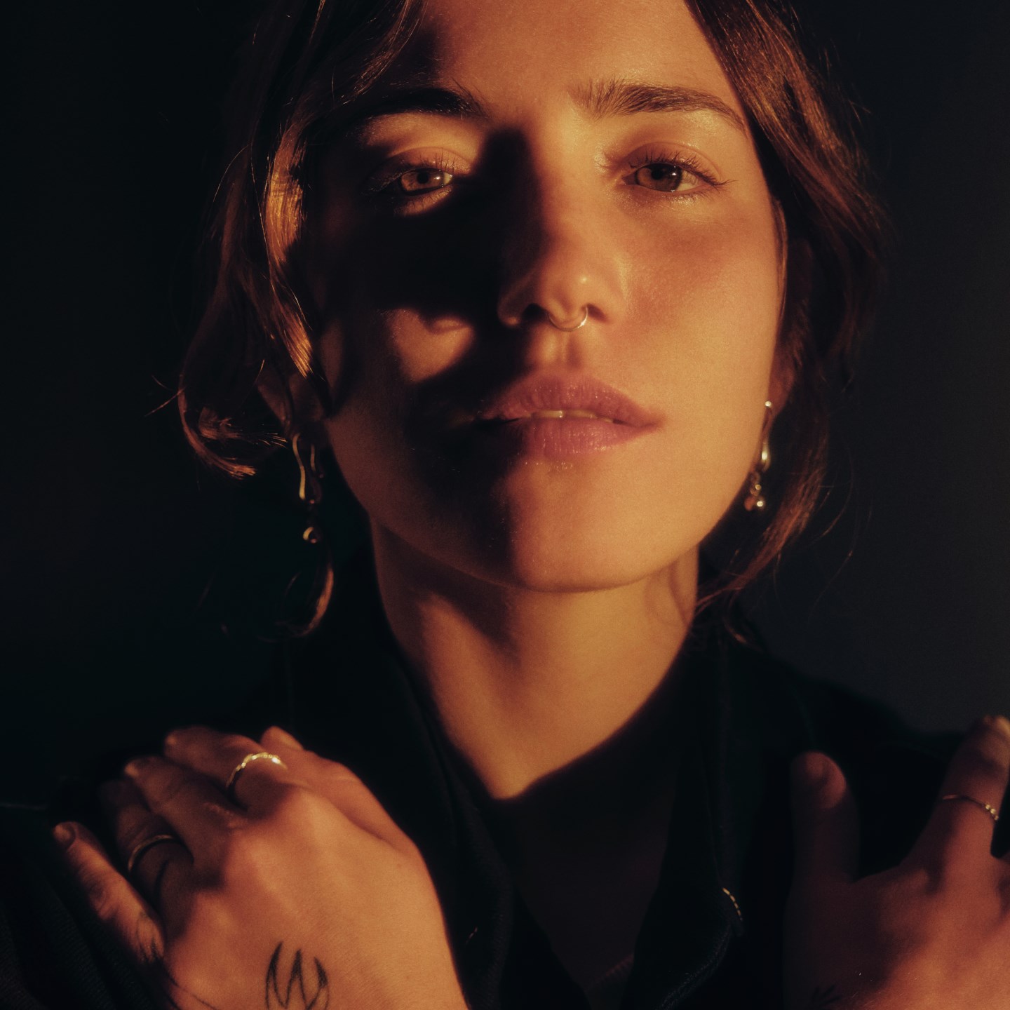 daisy cutter · Artist Profile