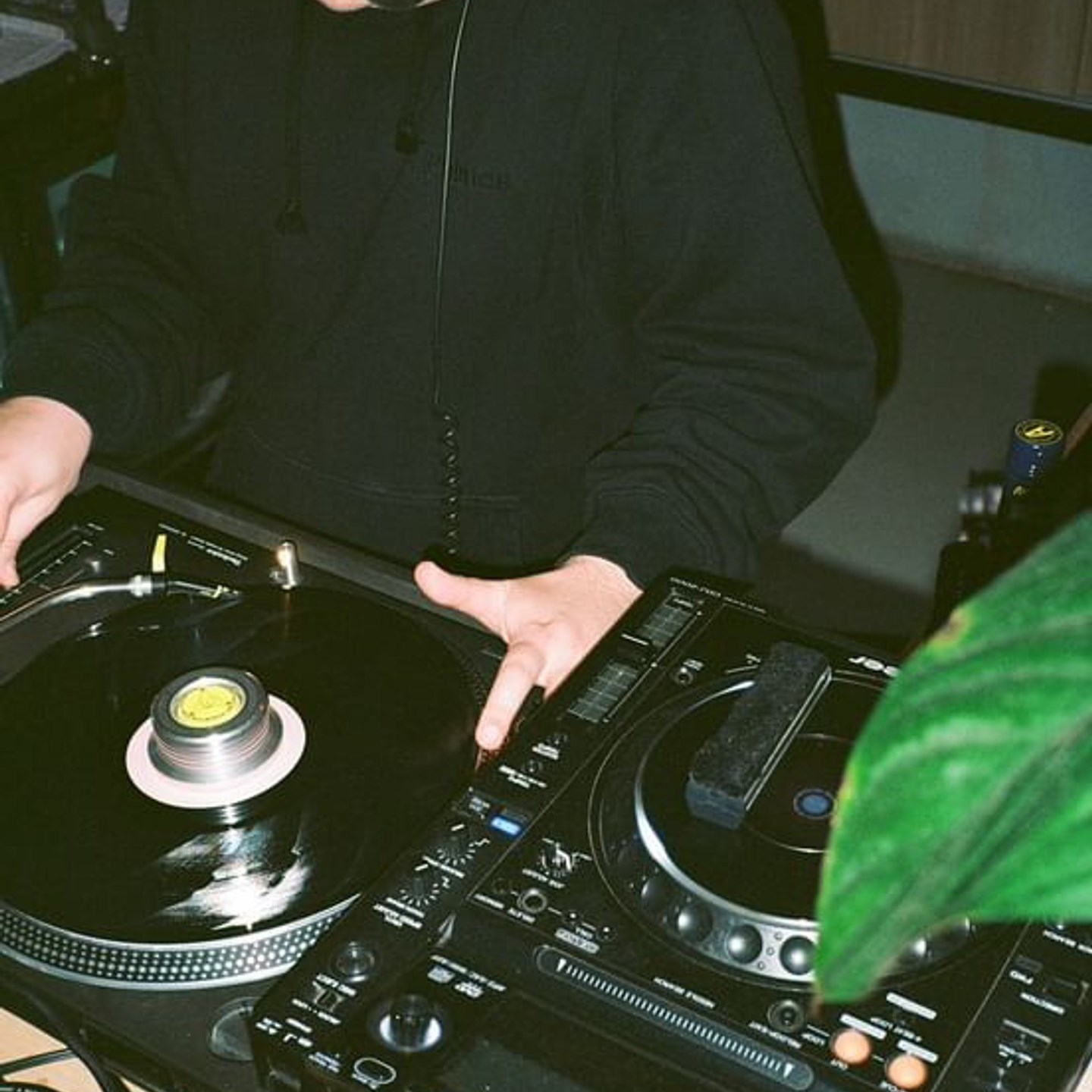 Daniel Filipovic · Artist Profile