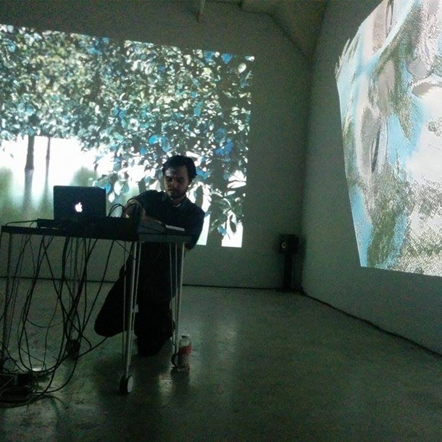 Daniel Majer · Artist Profile