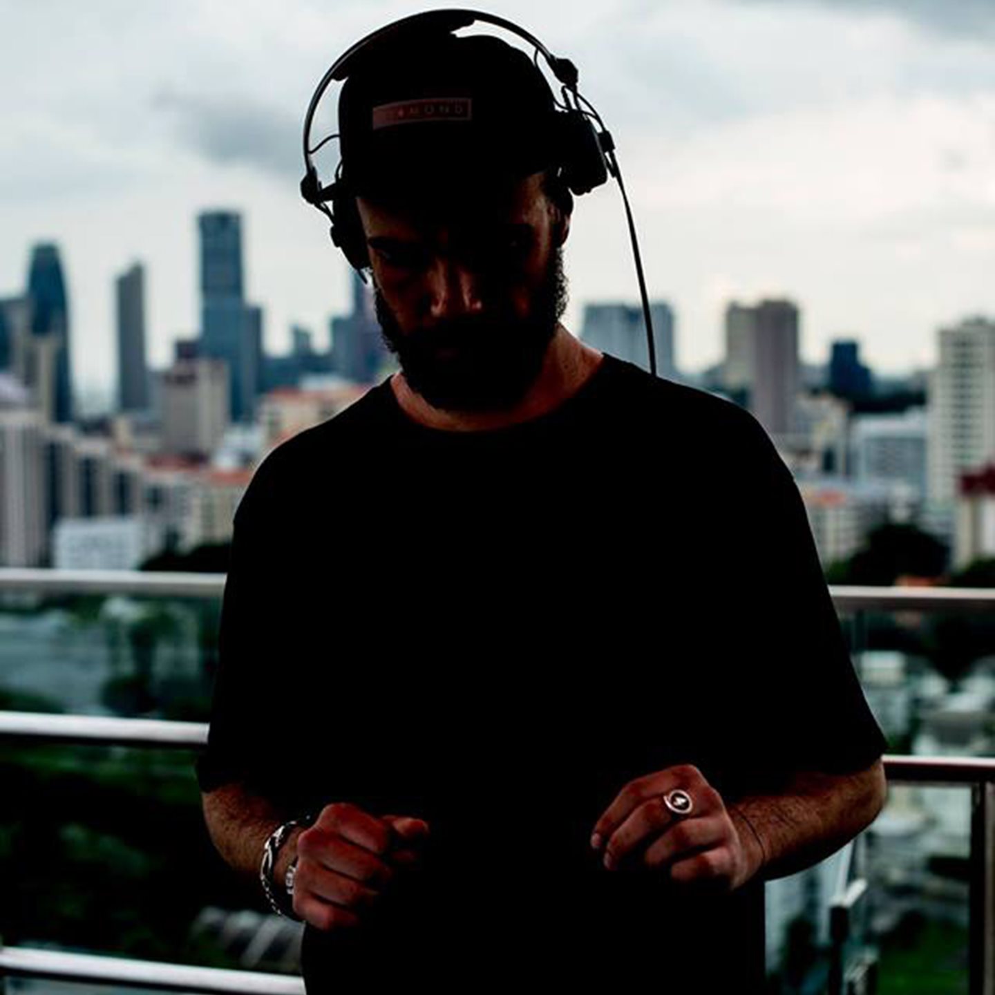 David Carollo · Artist Profile