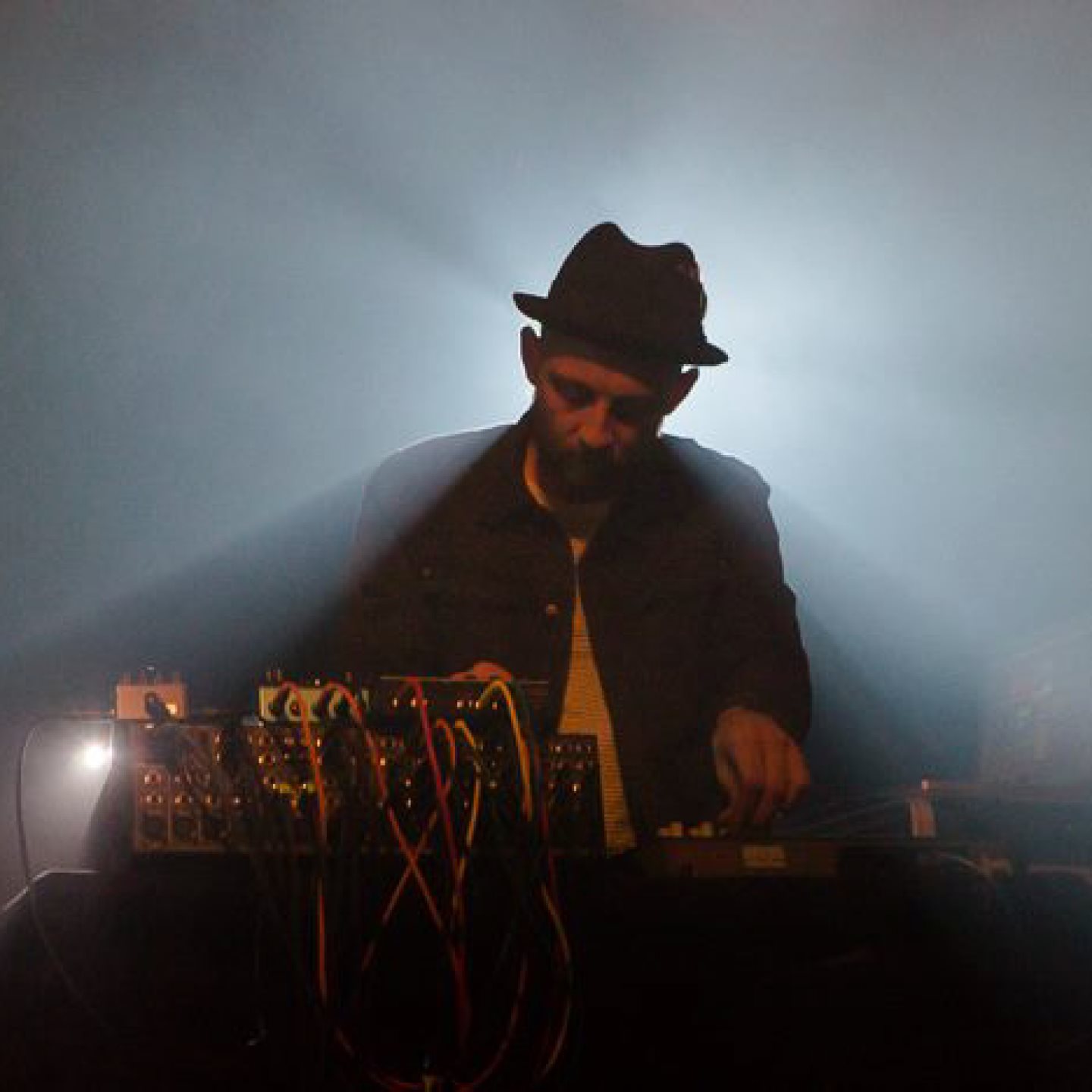 David Douglas · Artist Profile