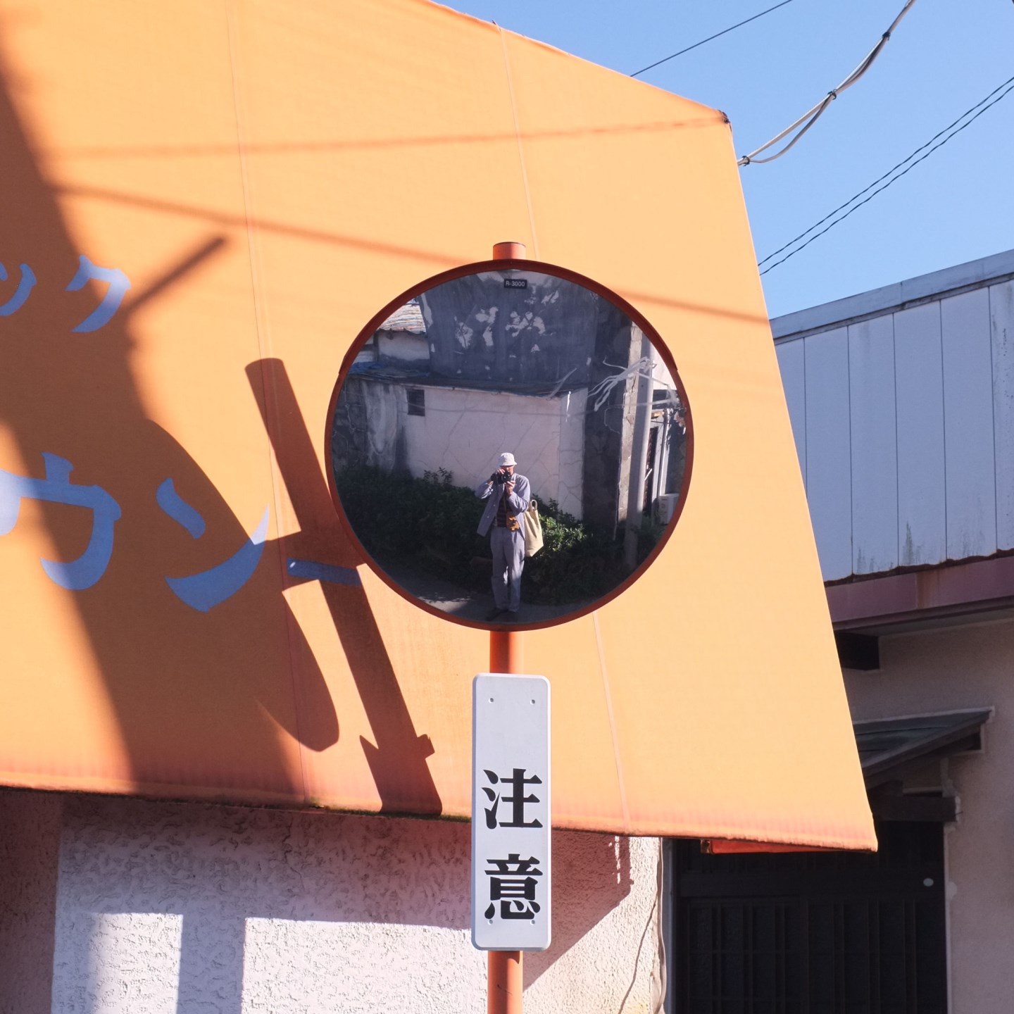 David Edren · Artist Profile