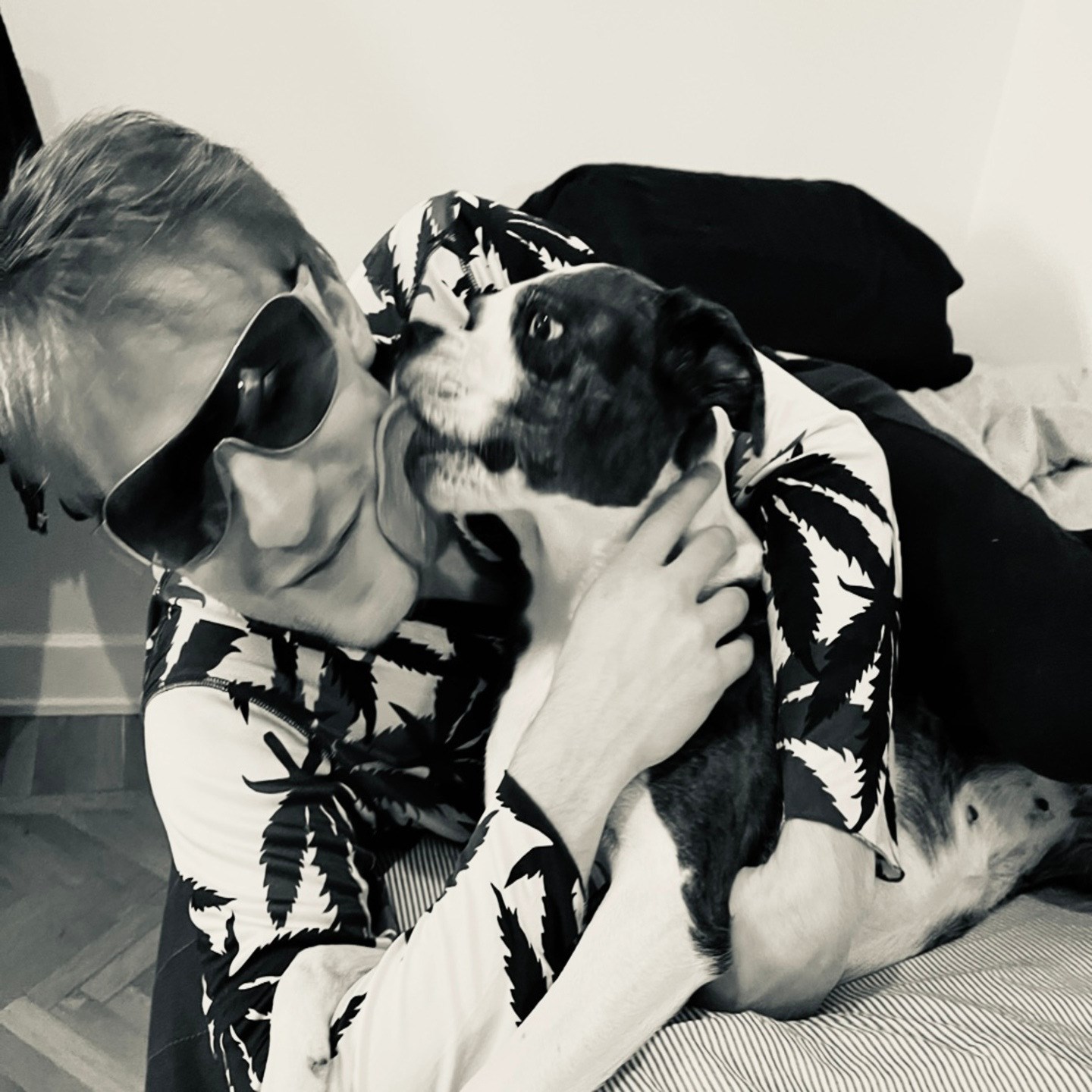 Davsa · Artist Profile