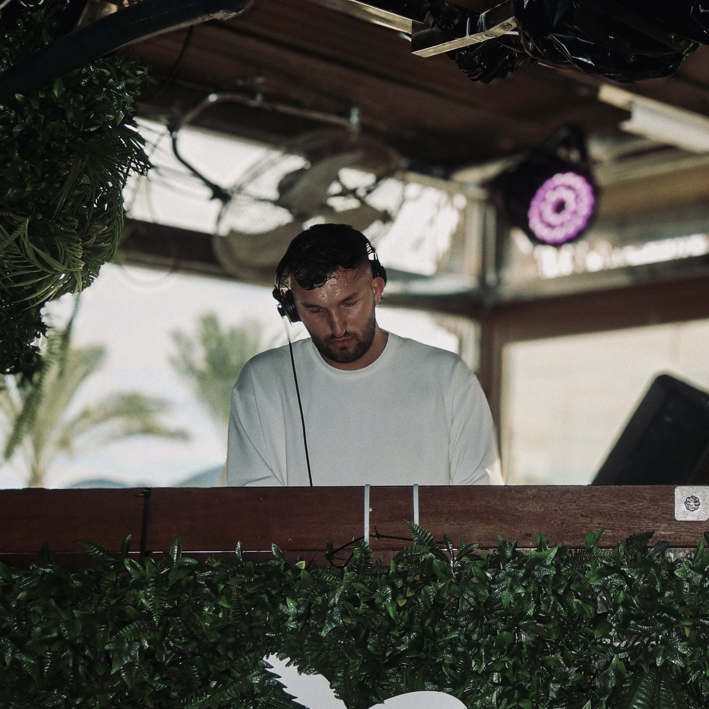 Dean Campbell · Artist Profile