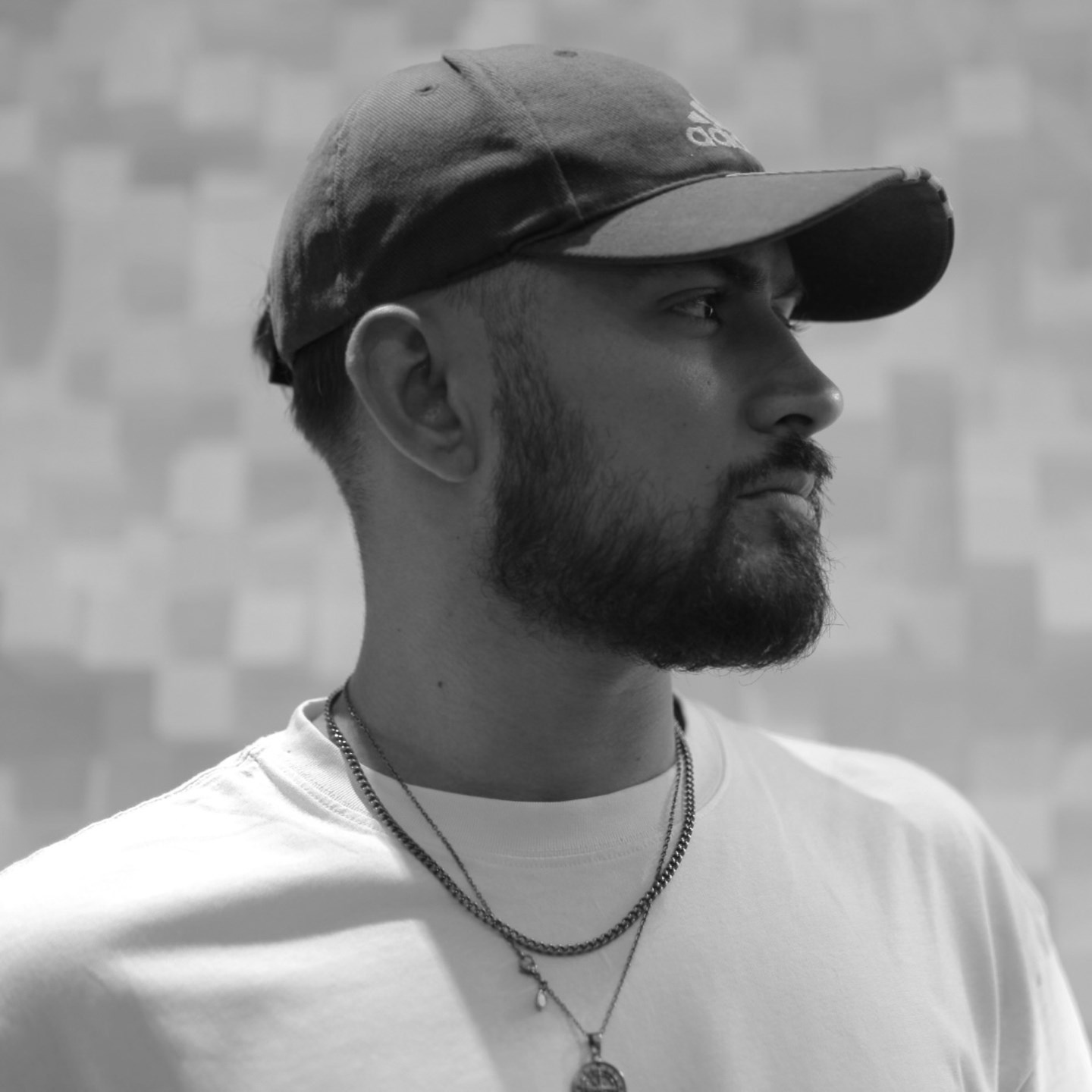 Demetae · Profil d'artiste