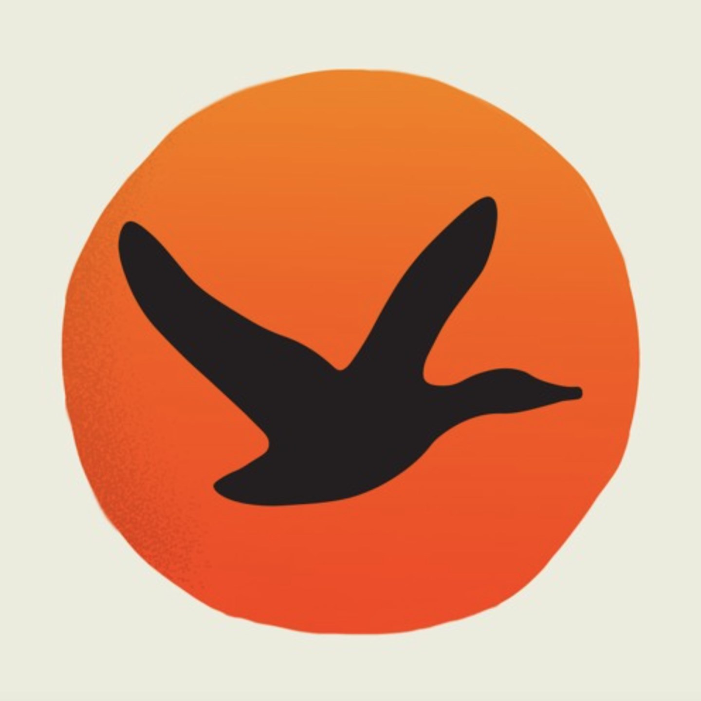 Desert Land Soundsystem · Artist Profile