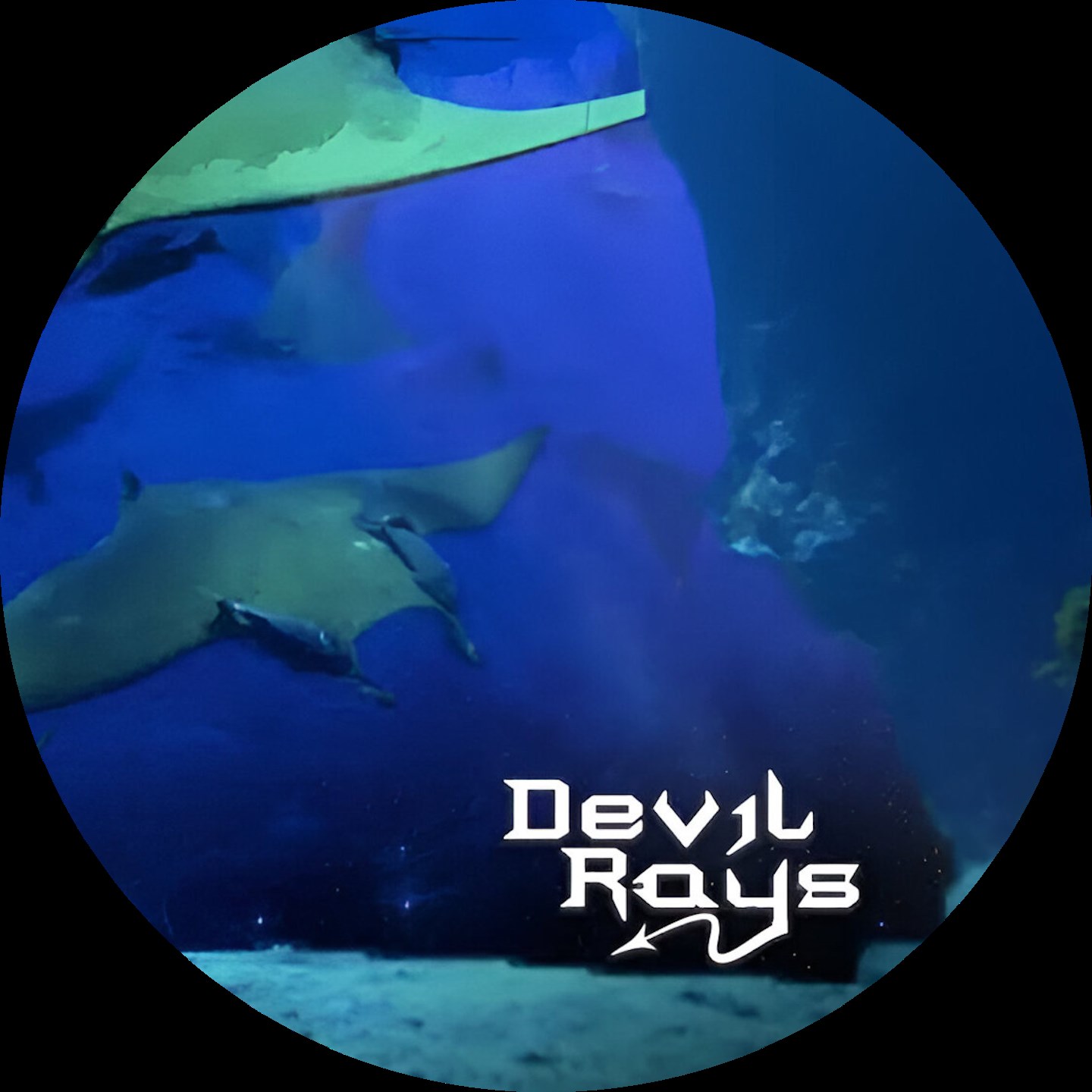 Devil Rays · Artist Profile