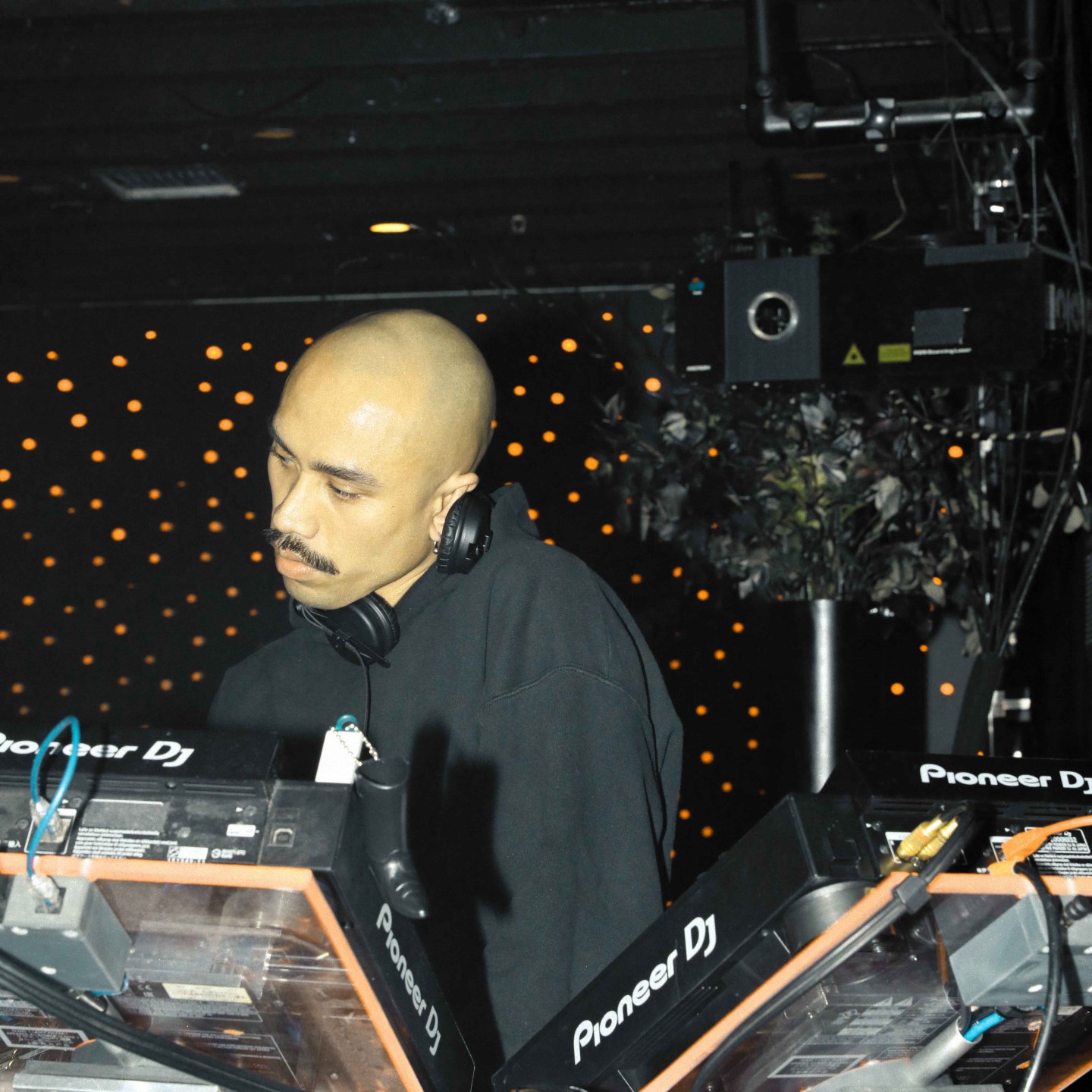 Dimas · Artist Profile