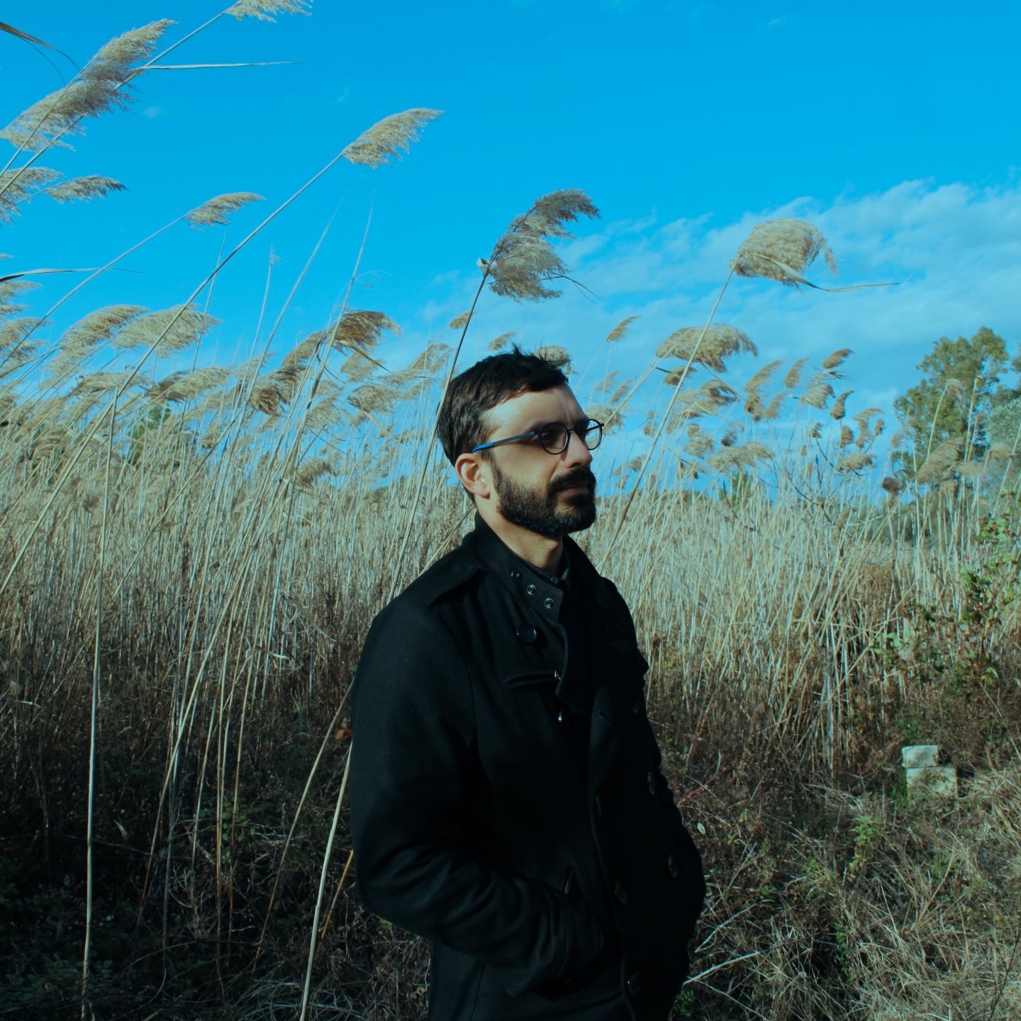 Distant Echoes · Artist Profile