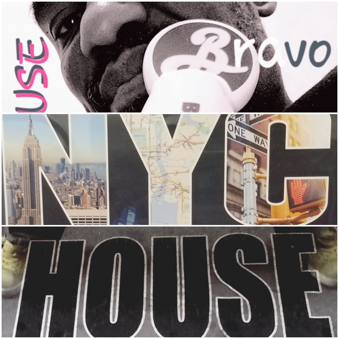 dj BRAVO Brooklyn · Artist Profile