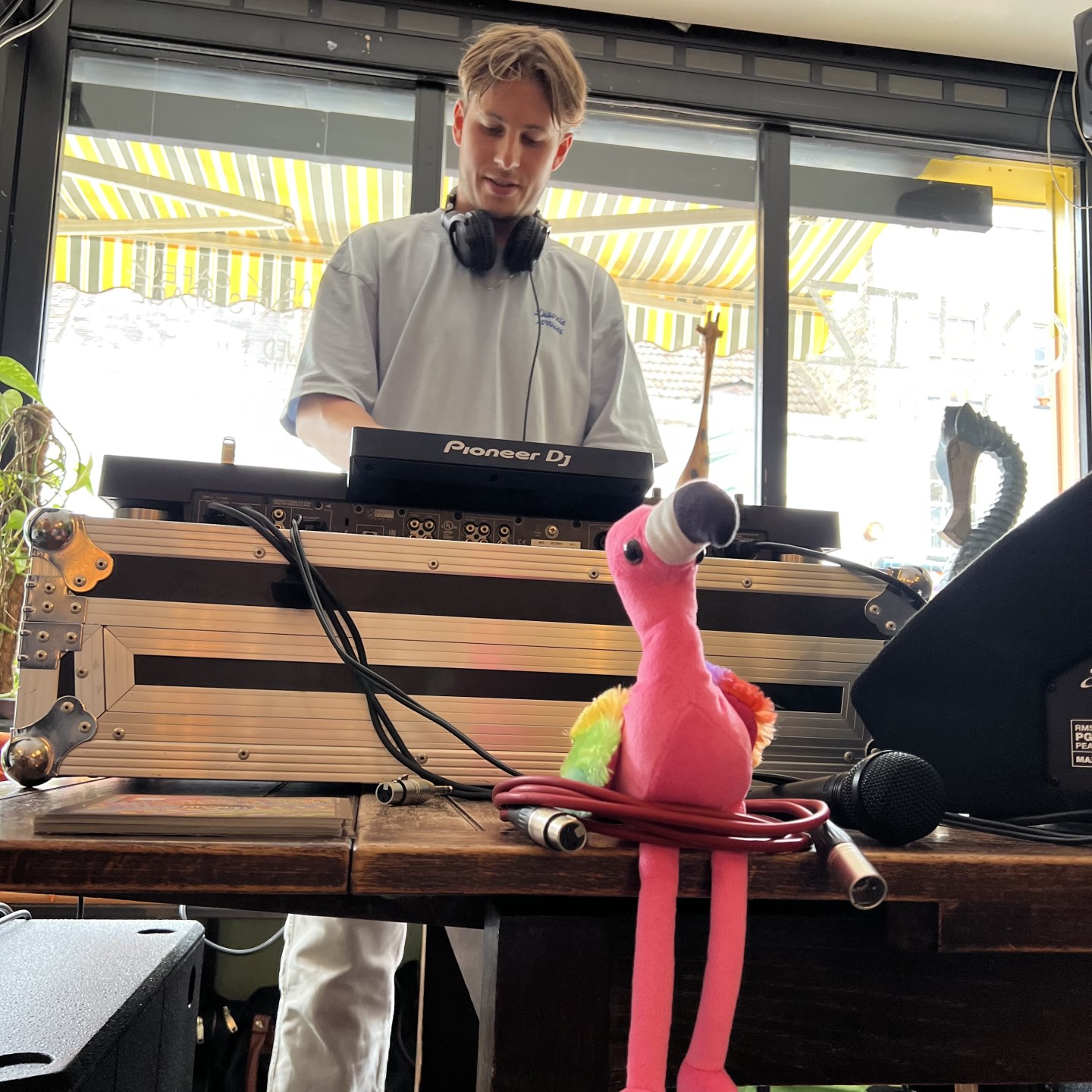 DJ CHEESTRING · Artist Profile