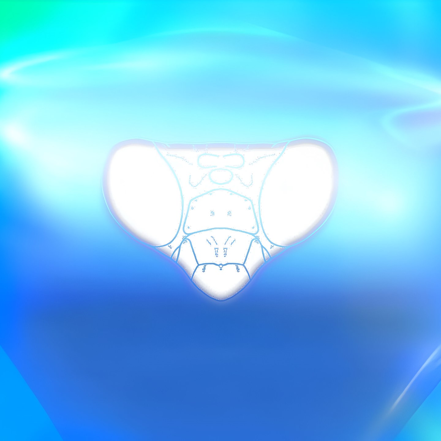 DJ Mantis · Artist Profile