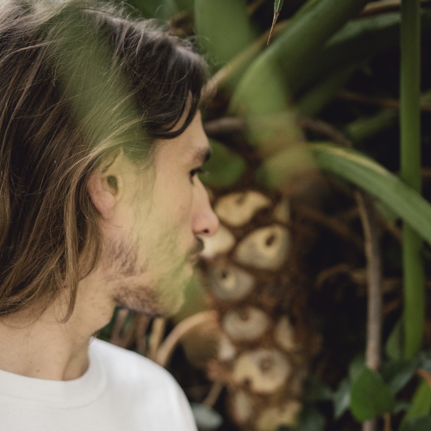 DJ ojo · Artist Profile