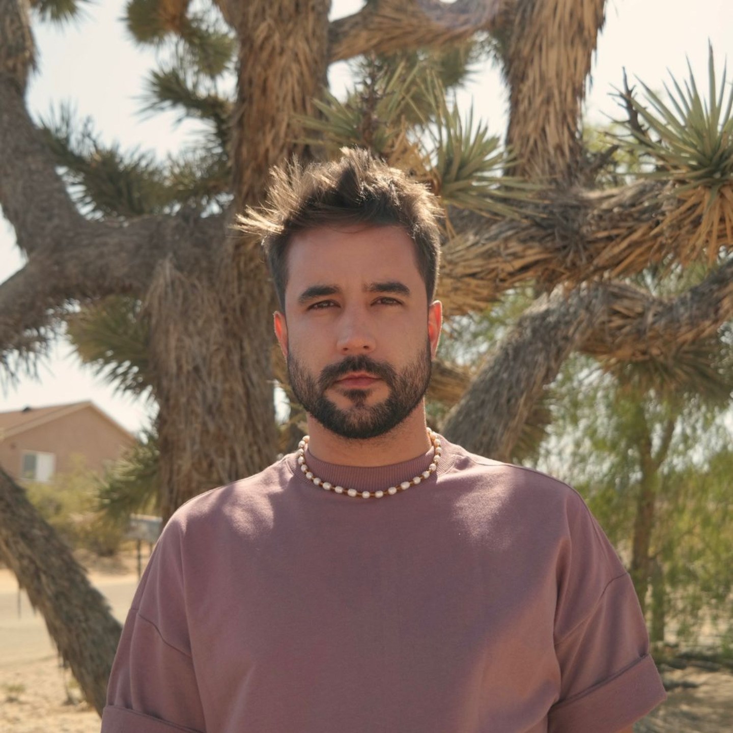 DU'DU (MX) · Artist Profile