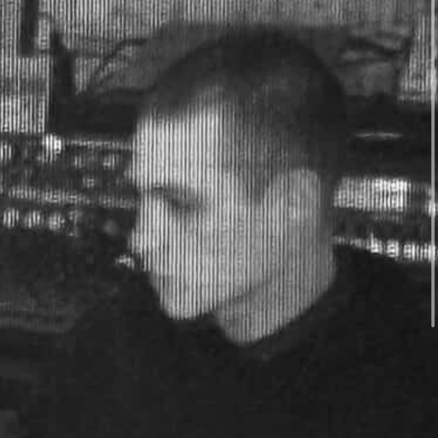 Dylan Gold · Artist Profile