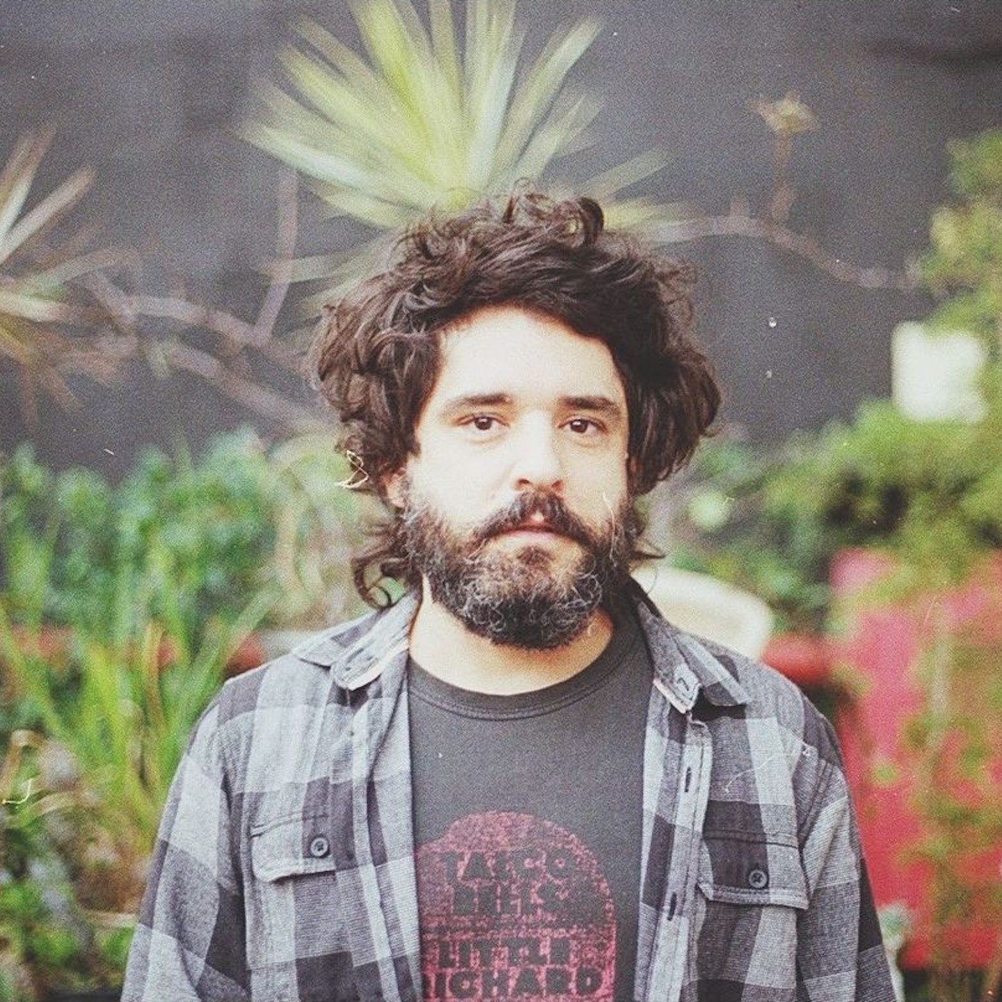 Elohim · Artist Profile