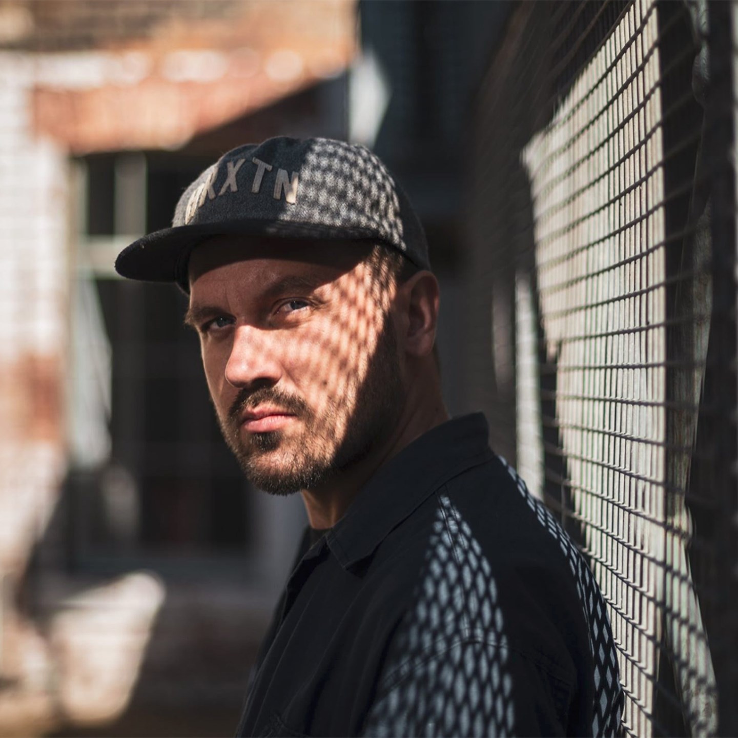 Faultlines · Artist Profile