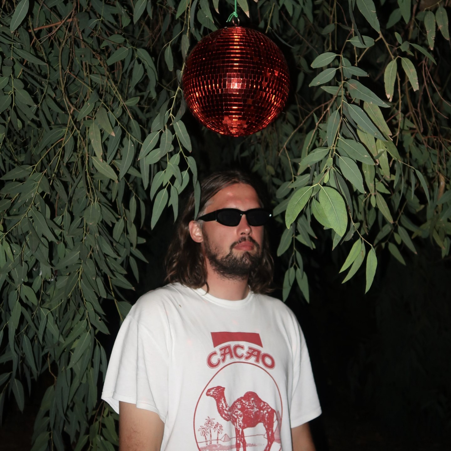 Feel Fly · Artist Profile