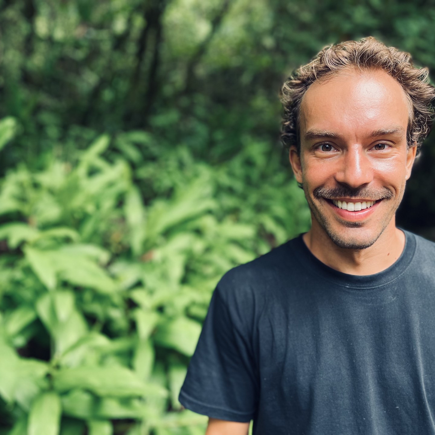 Felipe Van Lagerback · Artist Profile