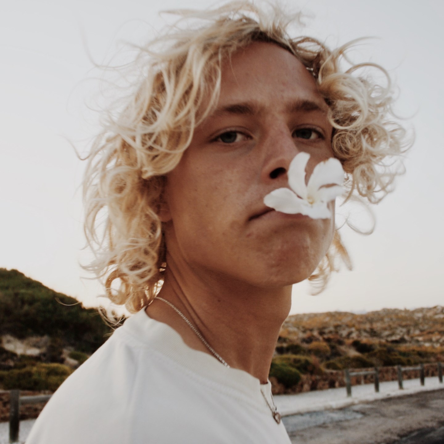 Figss · Tour Dates & Tickets