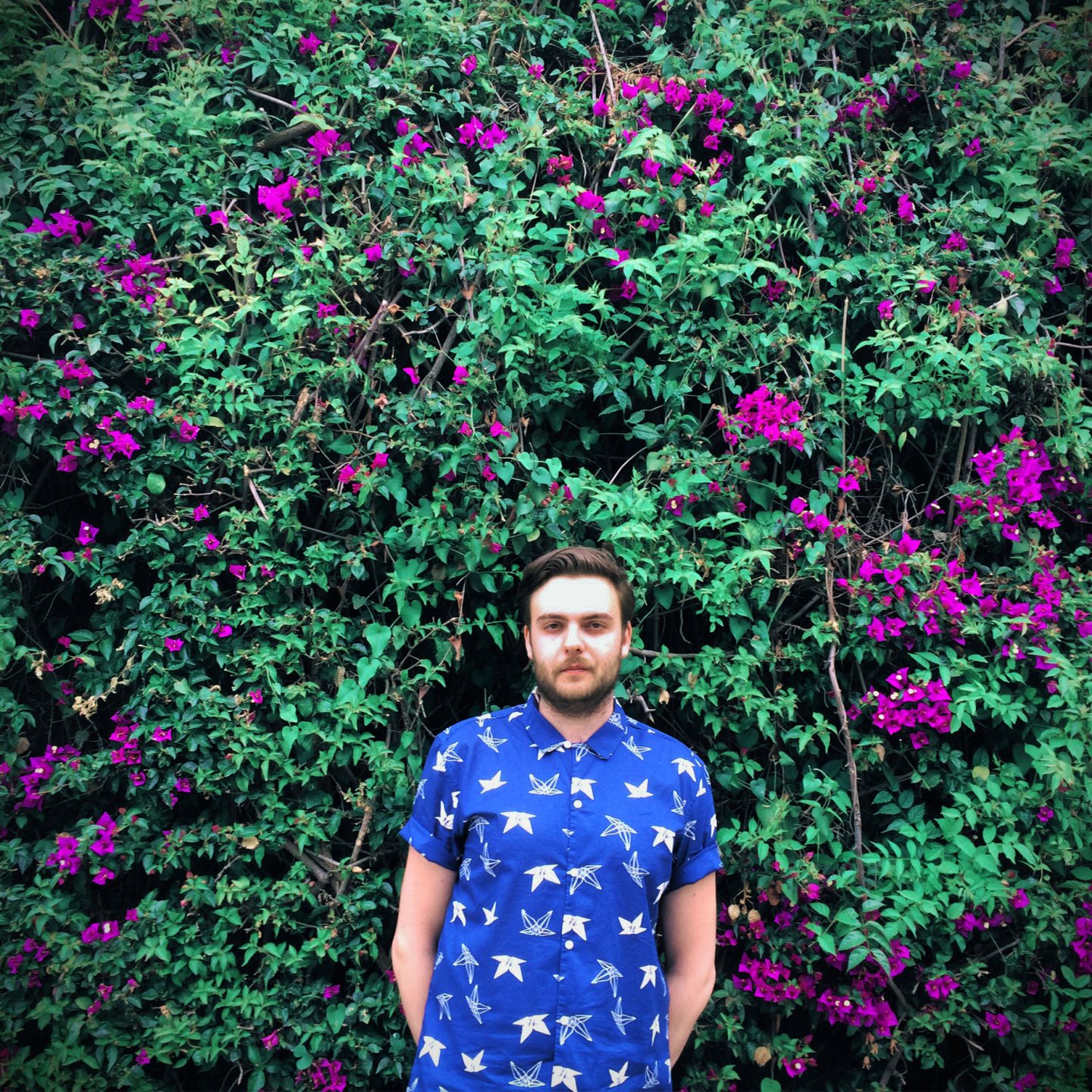 Filipp · Artist Profile