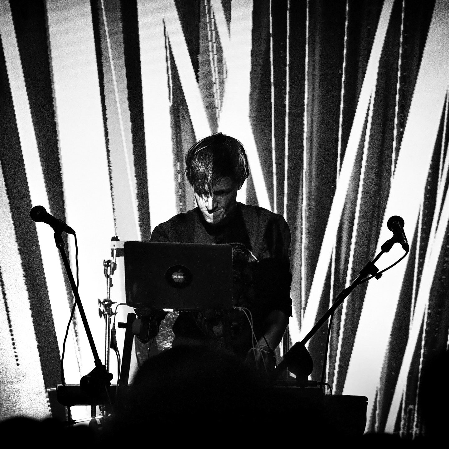 First Rebirth · Artist Profile