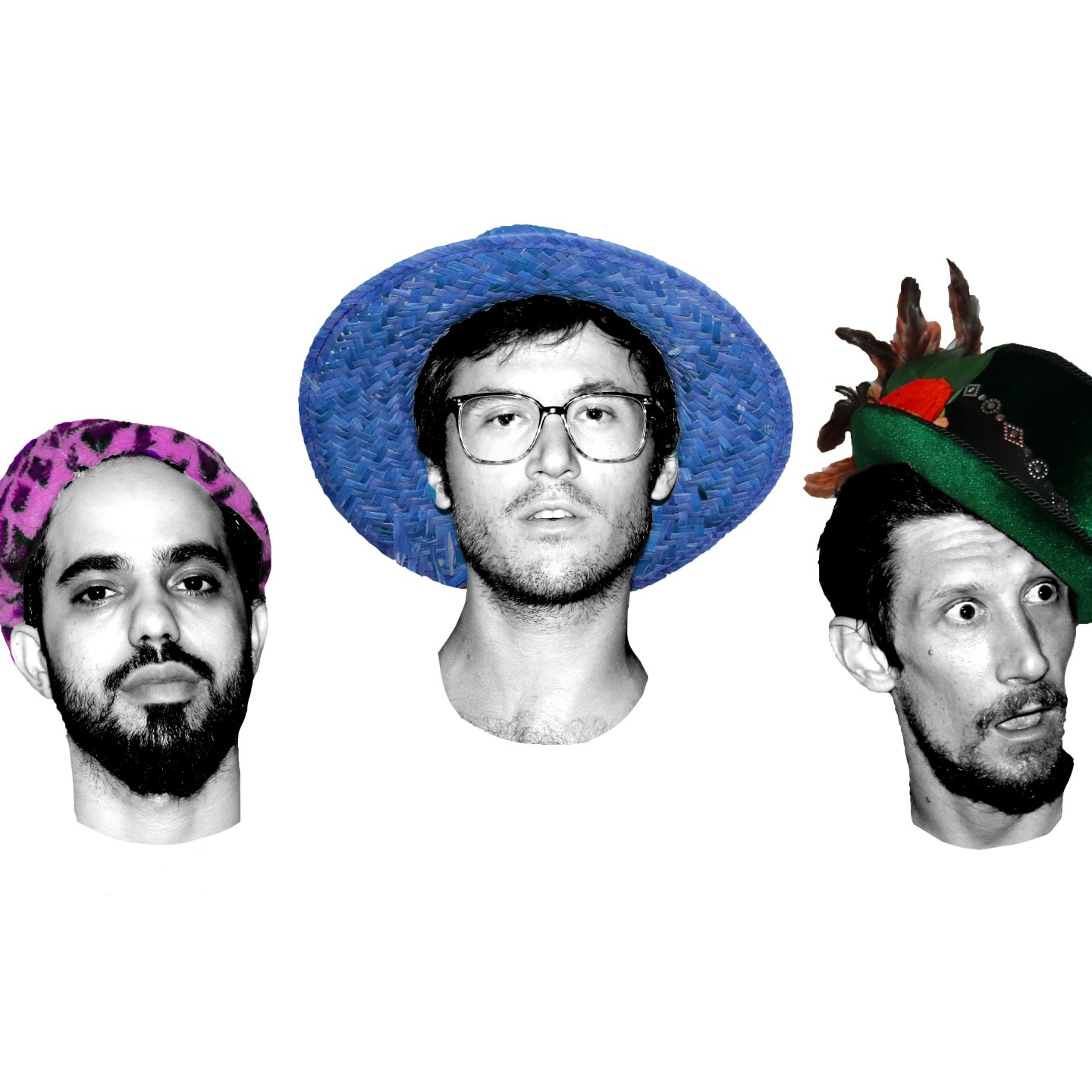 Freak The Disco · Artist Profile