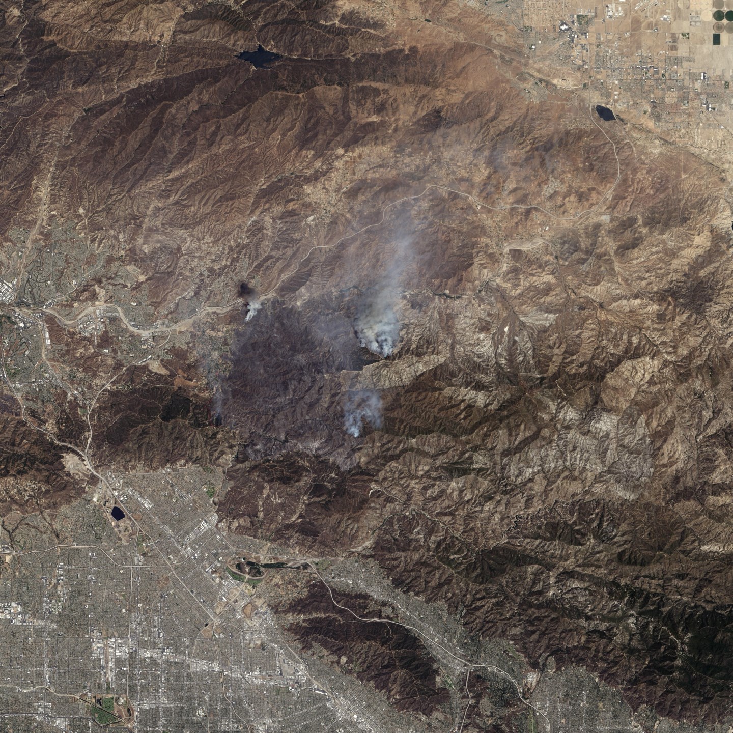 Friedrich Mayer · Artist Profile