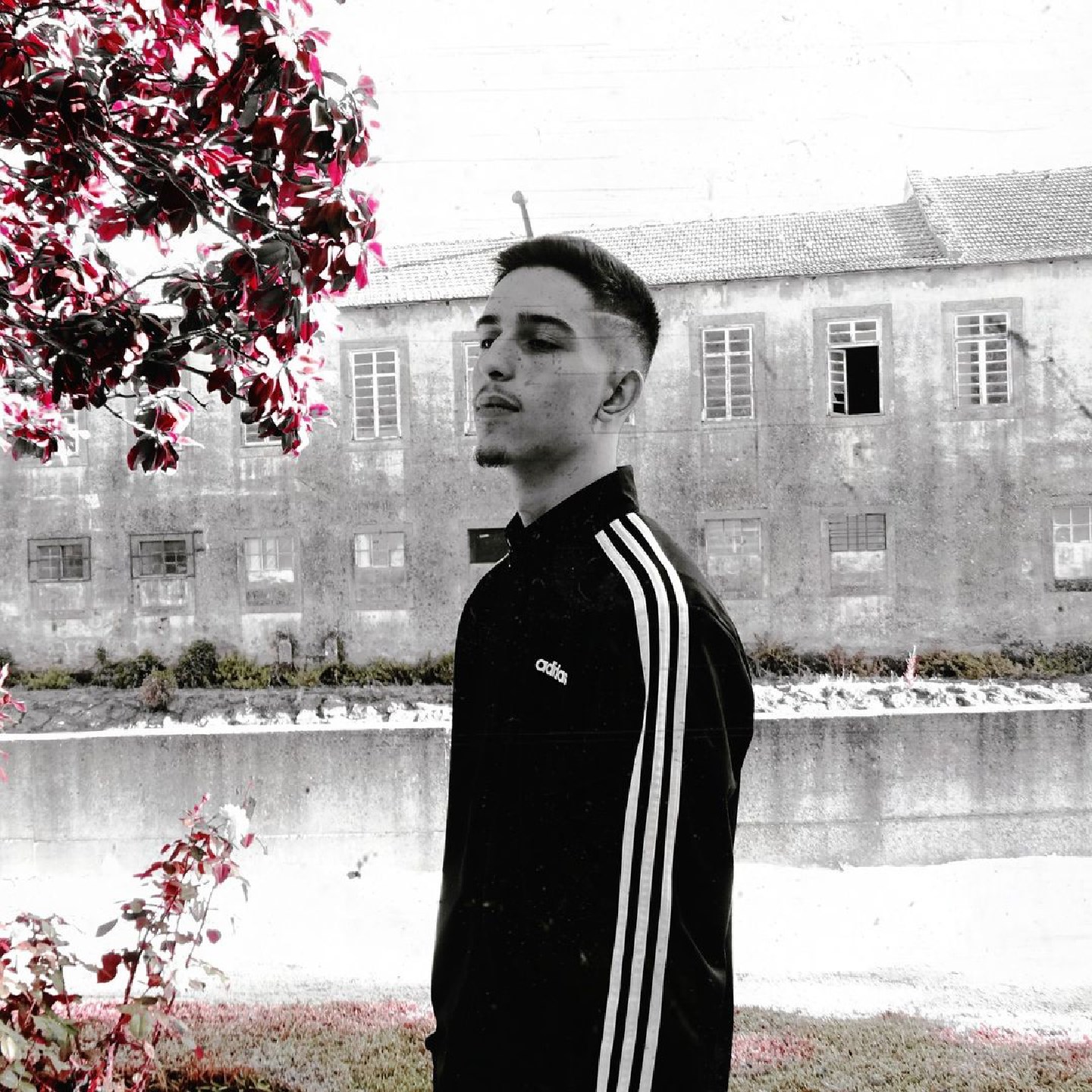 Frik · Artist Profile