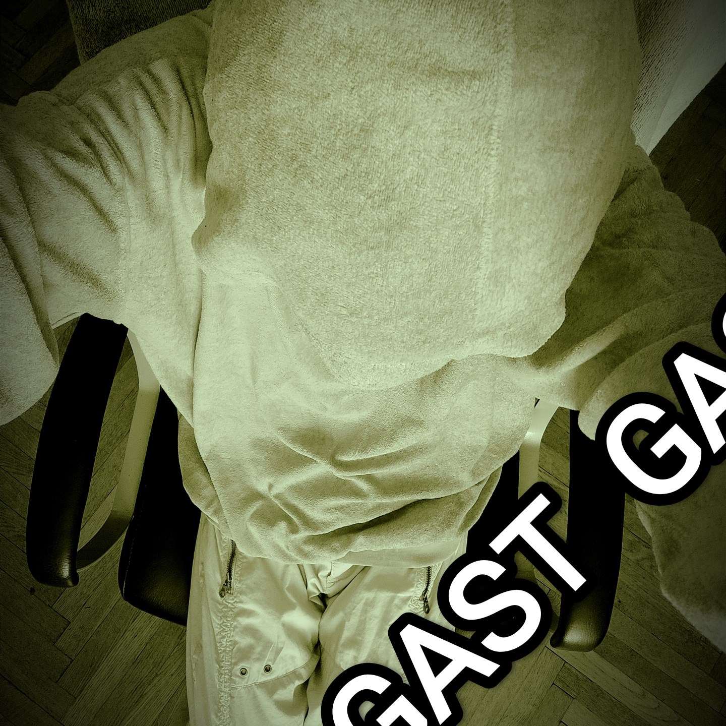 Gast (2) · Artist Profile