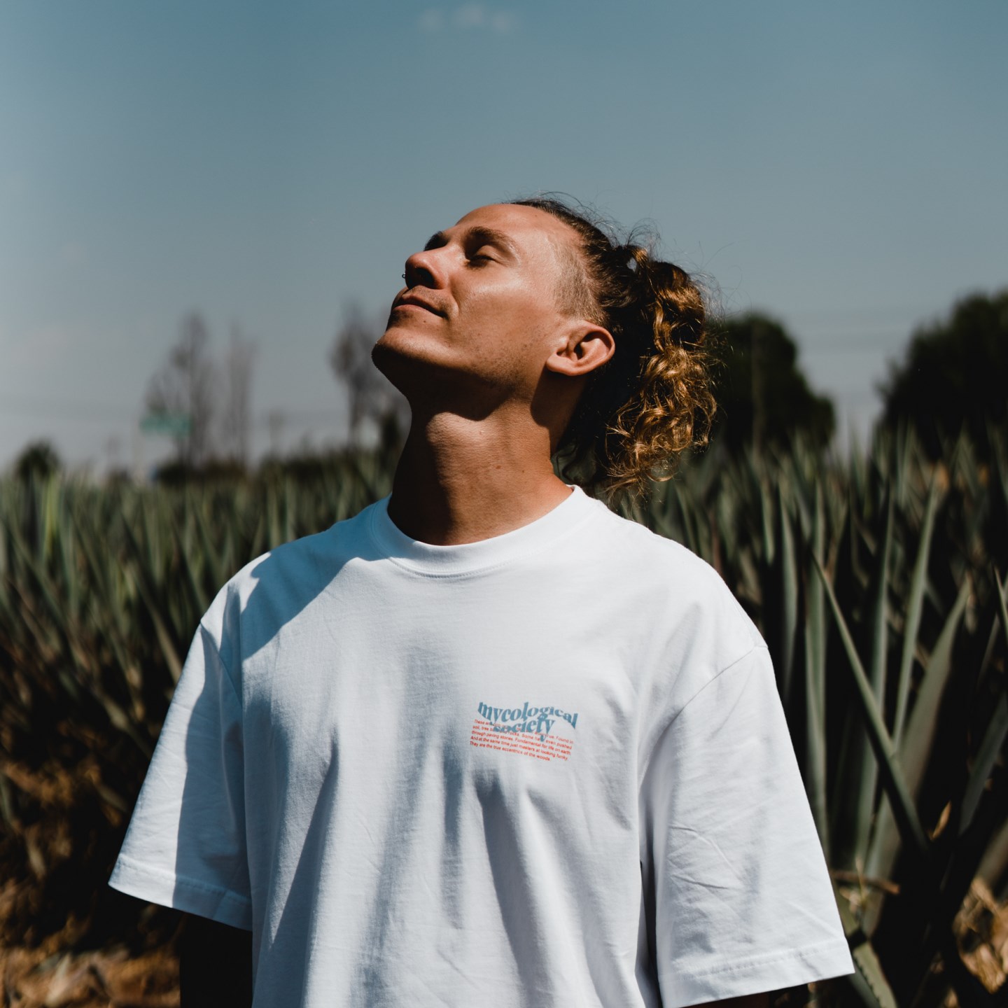 Golden Hour · Artist Profile