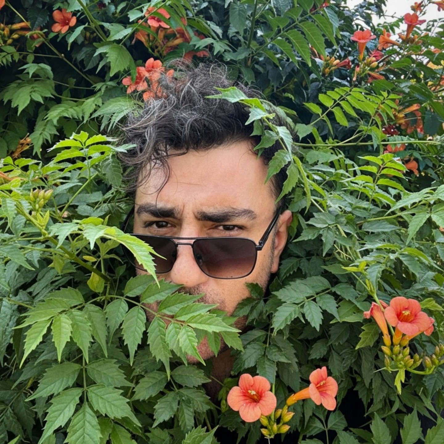 Graumann · Artist Profile