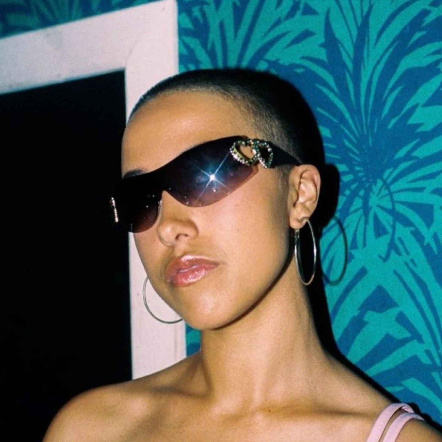 Halal Kitty · Artist Profile