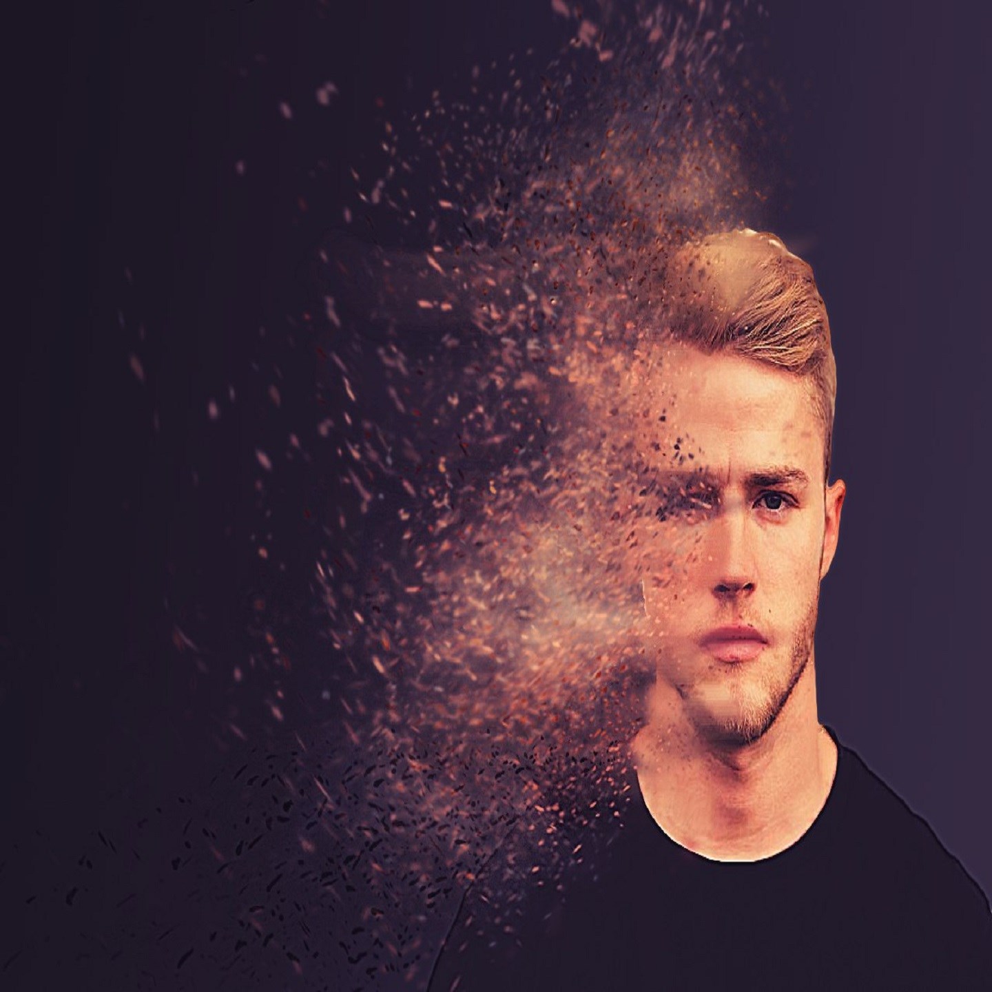 Hammerschmidt · Artist Profile