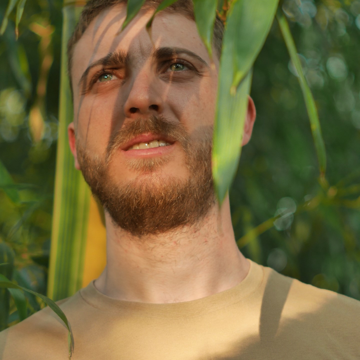 Harmonious · Artist Profile