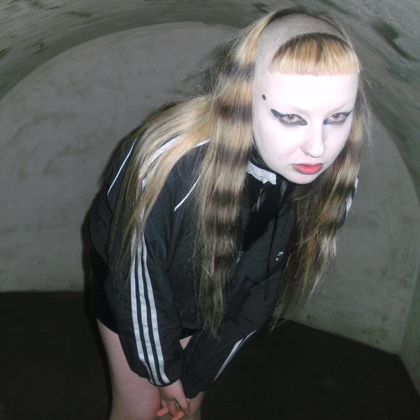 Holly Warcup · Artist Profile