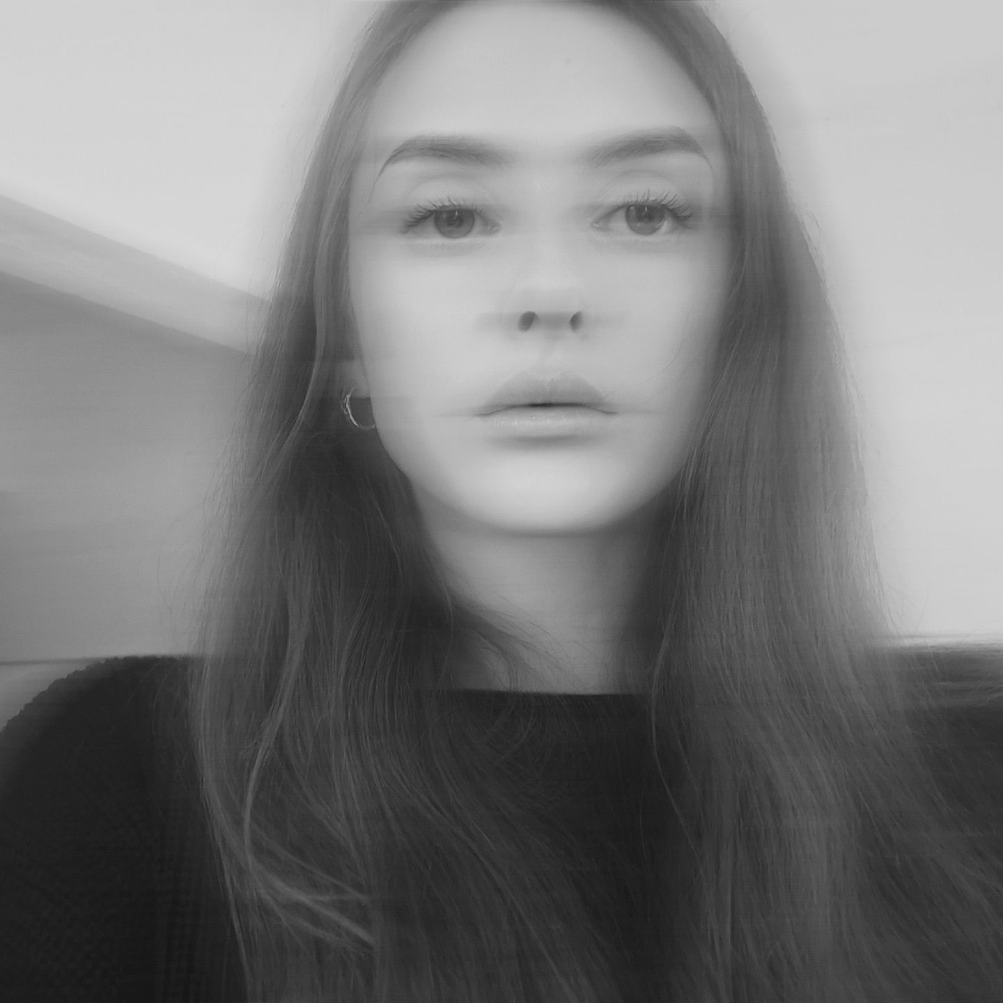 Homemade Explosives · Artist Profile